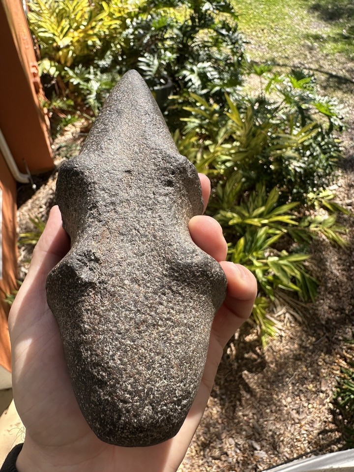 Native American Archaic Trophy Style Grooved Axe Head Artifact Ohio ...