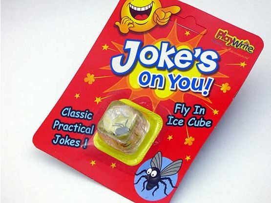 24 X Fly in Ice Cube Novelty Prank Joke Set Wholesale Joblot BULK Car ...