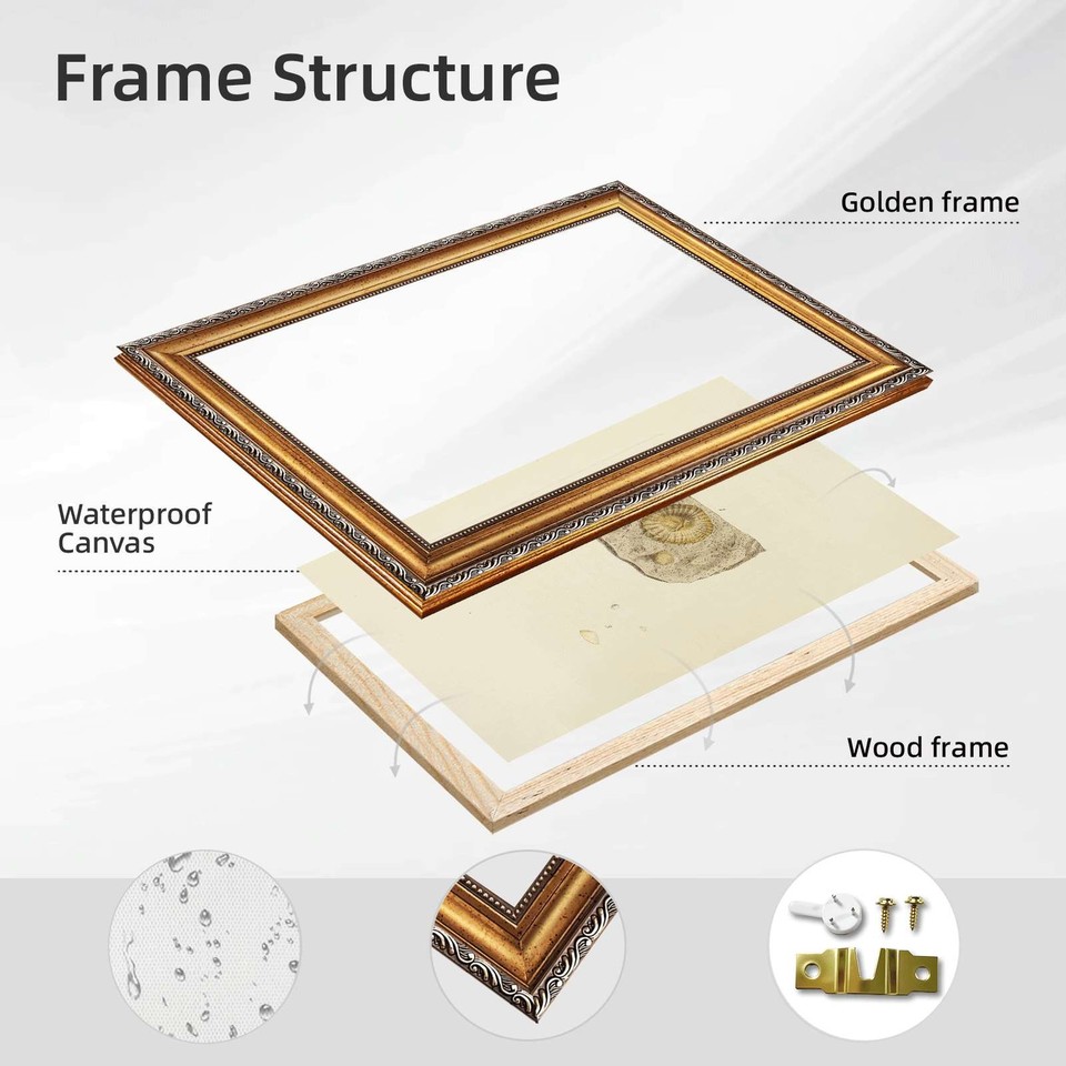 Fossil Shell Wall Art Canvas Oil Paintings Reproduction | eBay