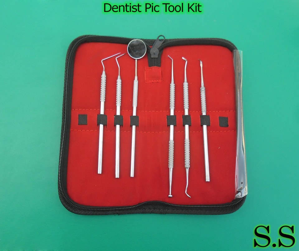 6 PCS DENTAL DENTIST PICK TOOL KIT SURGICAL DENTAL INSTRUMENTS S.S | eBay