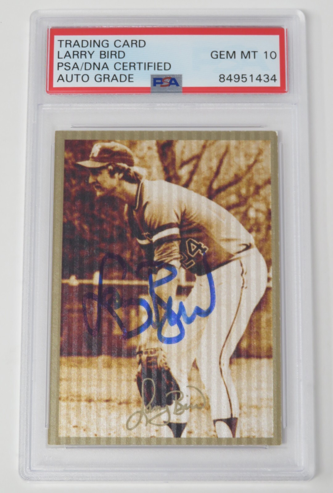 Ted Williams Autographed Memorabilia | Signed Photo, Jersey ...