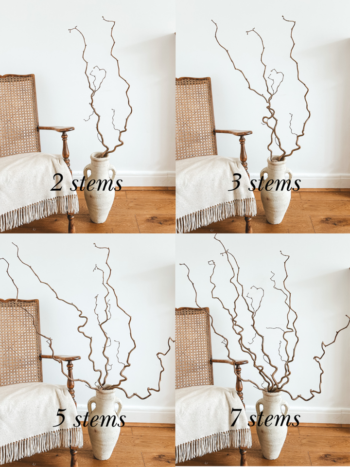 Long Twisted Hazel Branches, Corylus Twigs for Vase, Japandi Branches ...