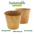 Coir Pots Coco Fiber Biodegradable Planter Nursery 02 Mini Pots 8cm x 5 ...