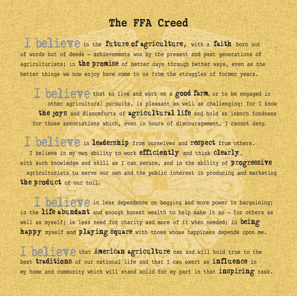 Ffa Scrapbook Stickers