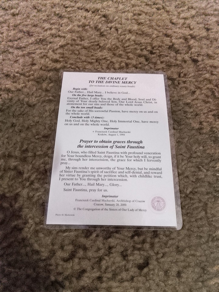 Saint Maria Faustina visited by Jesus Apostle Chaplet of Divine Mercy ...