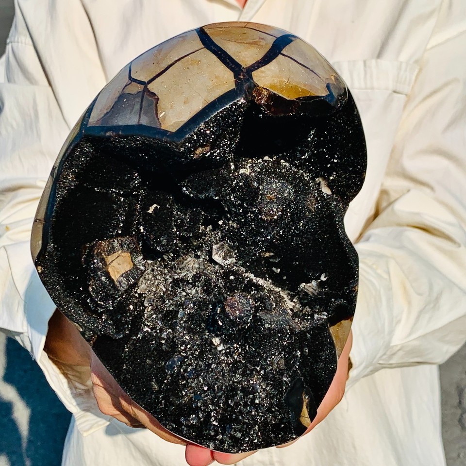 7.28LB Natural Turtle Back Stone Dragon Crystal Cave Crack Gem Healing ...