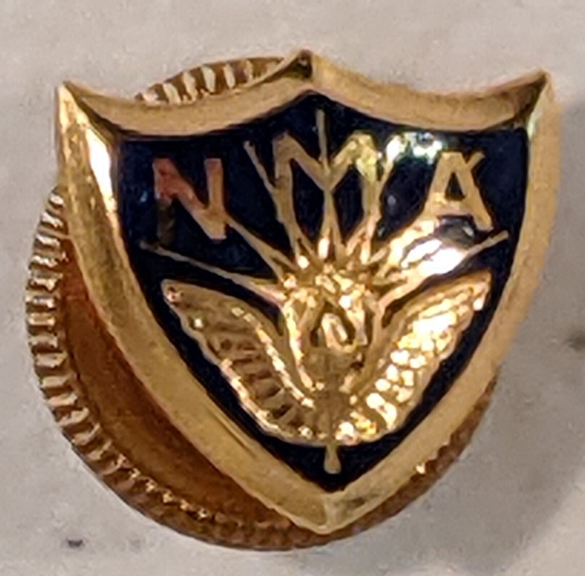 Vintage 1970's National Management Association lapel pin - New ...