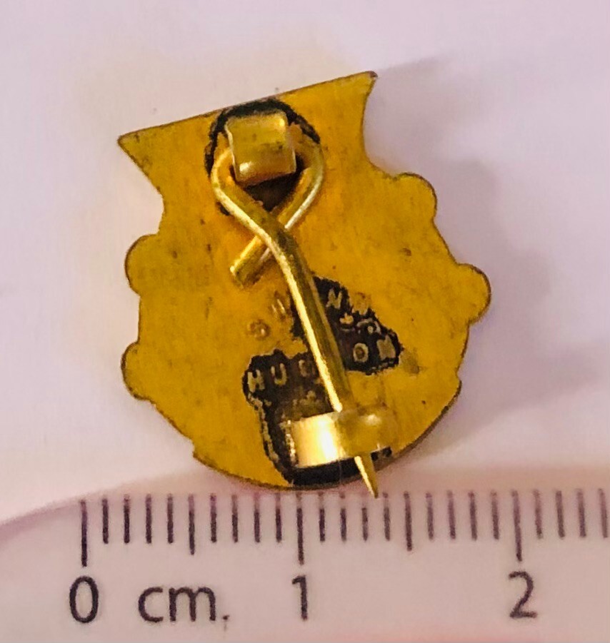 Coleraine Bowling Club Badge Pin Rare Vintage (L10) | eBay