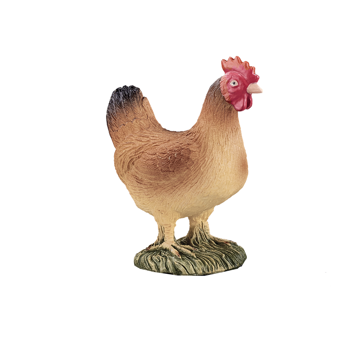 Chicken Life Art And Science Bring Poultry Genetics To Life In