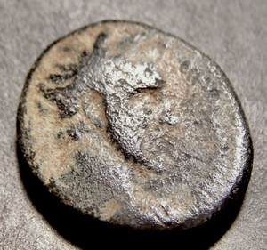 davis-ancients | eBay Stores