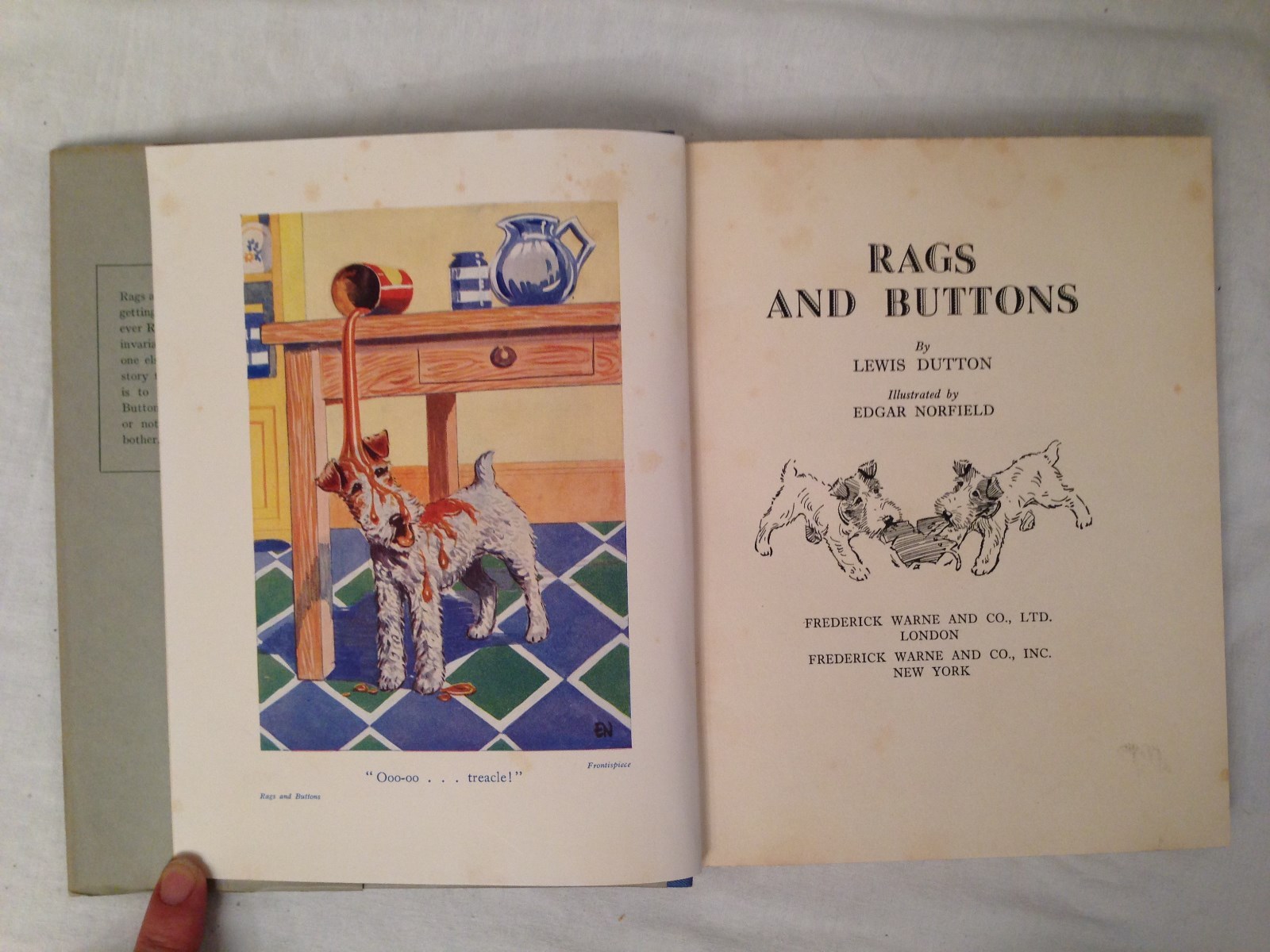 Lewis Dutton / Edgar Norfield - Rags and Buttons,1st/1st 1936 in Jacket ...