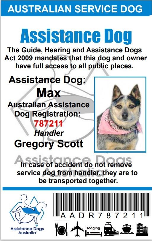 SERVICE DOG ID CARD FOR SERVICE ANIMAL PROFESSIONAL ADA RATED 0 | eBay