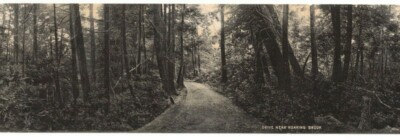 Vintage Roaring Brook Michigan Postcard Mail Card Very Large Made in ...