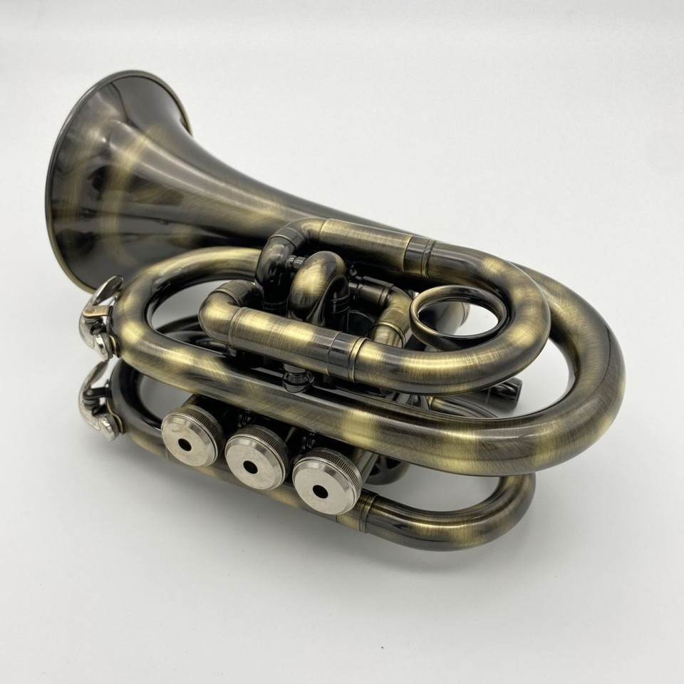 Brand New Professional B-Flat Pocket Trumpet Instrument Portable ...