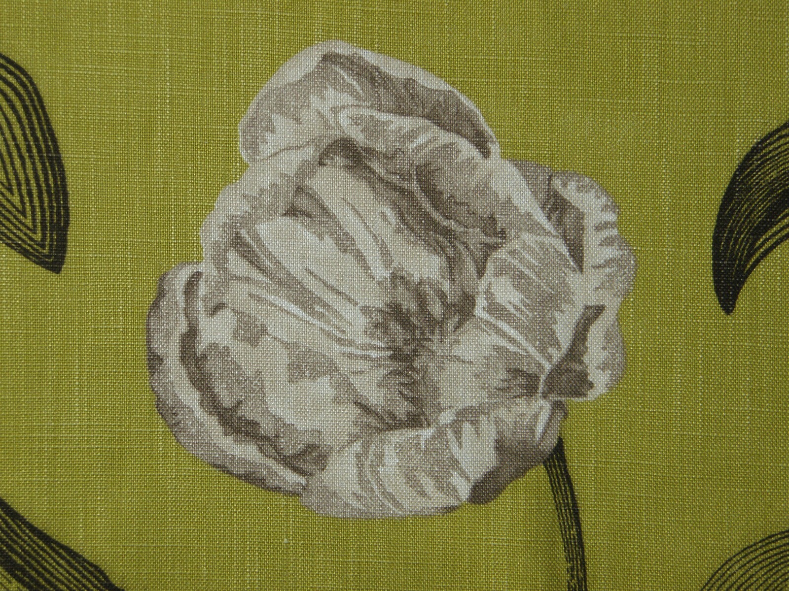 HARLEQUIN CURTAIN FABRIC DESIGN "Liana 3.5 METRES COFFEE BARK AND LIME ...