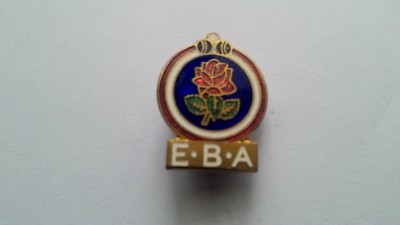 EBA BOWLING ASSOCIATION BADGE | eBay UK