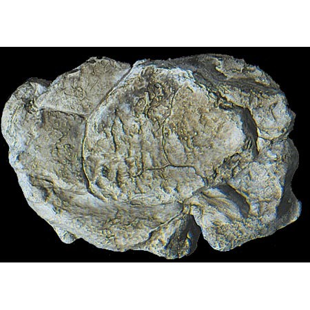 Woodland Scenics Rock Mold Wind Rock WOOC1237 Train Scenery Non Scale ...