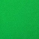 Promaster 10x20ft Chromakey Backdrop | eBay