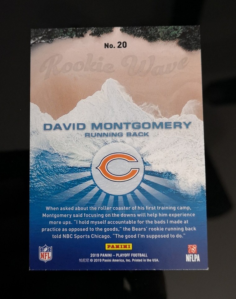 2019 Playoff Rookie Wave David Montgomery 💥 RC Card Holo Foil SP Insert ...