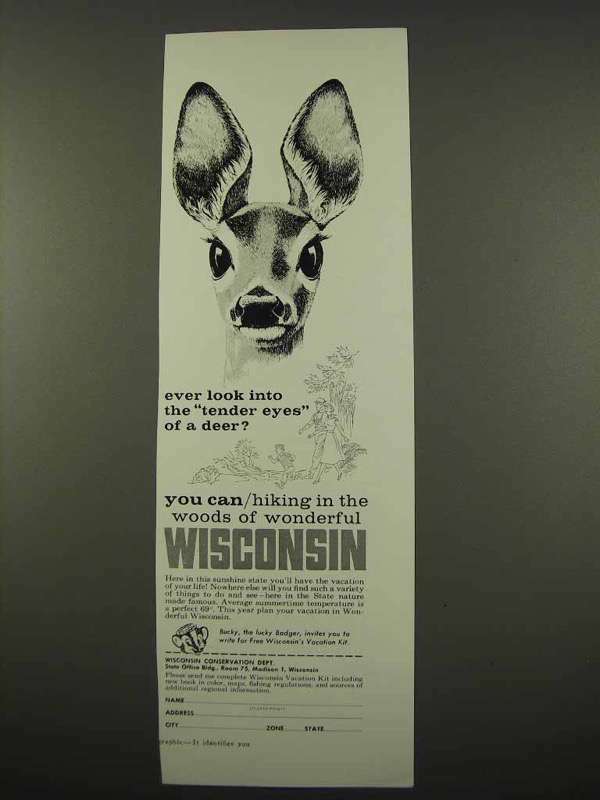 1957 Wisconsin Tourism Ad - Tender Eyes of a Deer | eBay
