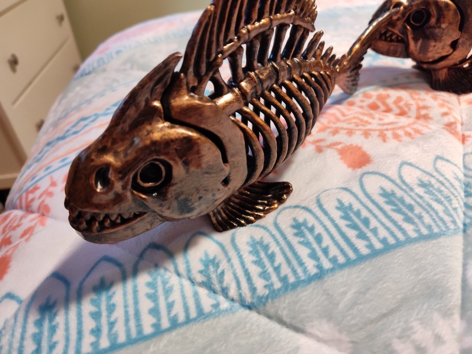 LOT OF THREE BONE FISH 161303 | eBay