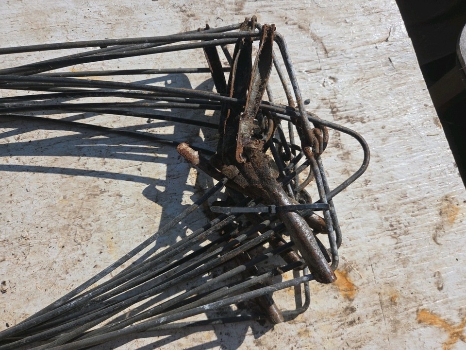 Lot of 12 used #4 Coon Raccoon wire Stretcher trapping Traps Trap 9 "X ...