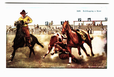 Postcard Rodeo Bulldogging a Steer Horses Cowboys | eBay