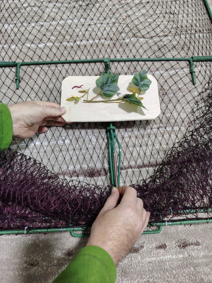 Extra large bird trap,Studies on bird ,Crow trap Corvid trap Duck goose ...