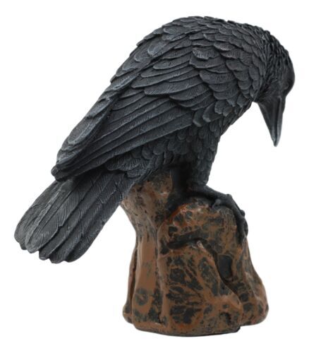 Leaning Black Raven on Rocks Hand Painted Resin Statue Figurine | eBay