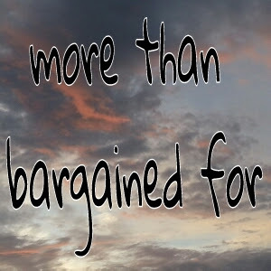 More Than Bargained For | eBay Stores