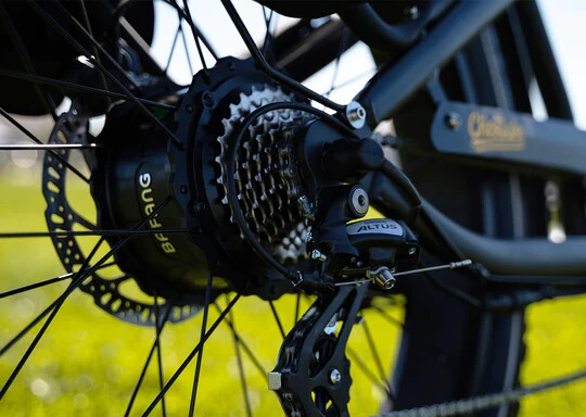 CHEETAH PLUS Full-Package Deal - 48V 840wh 17.5ah | eBay