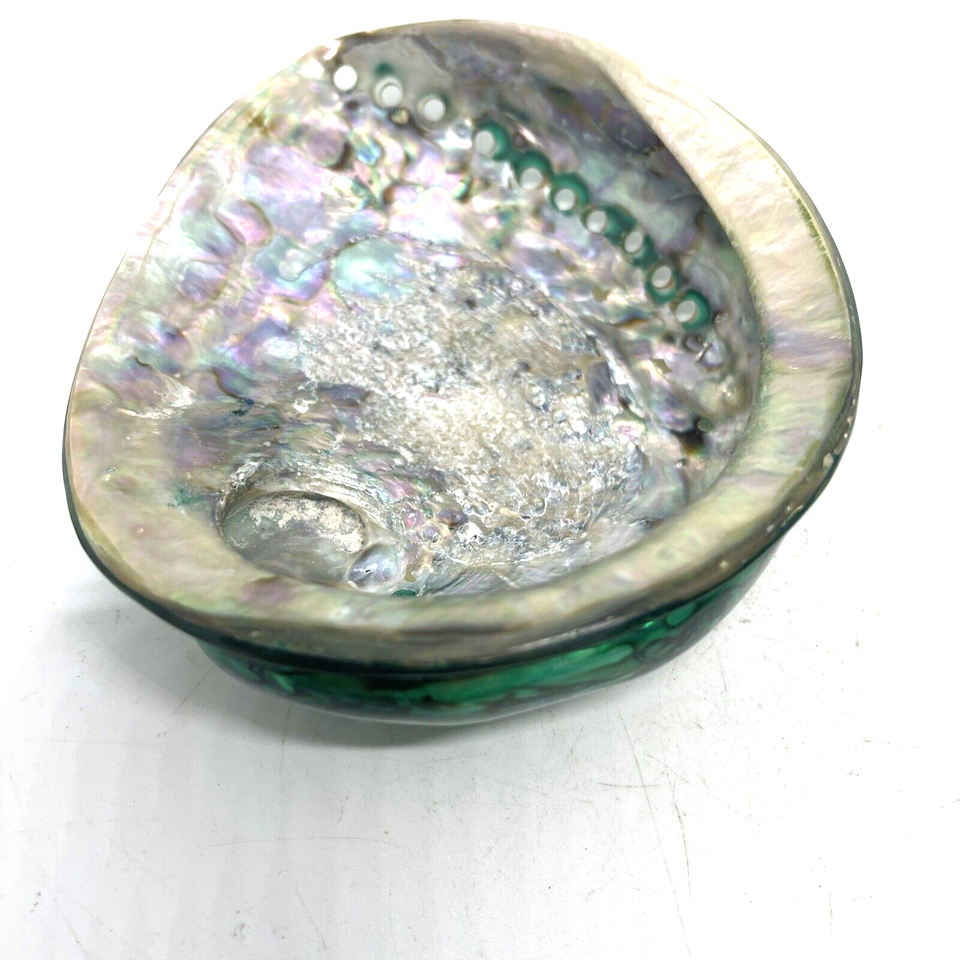 Vintage Mid Century Large Abalone Shell Bowl Ashtray Lucite Exterior 6 ...