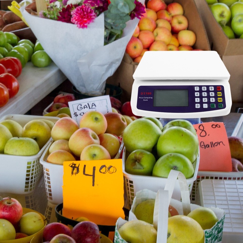 30KG Platform Commercial Weighing Scale Digital Electronic Price Shop ...