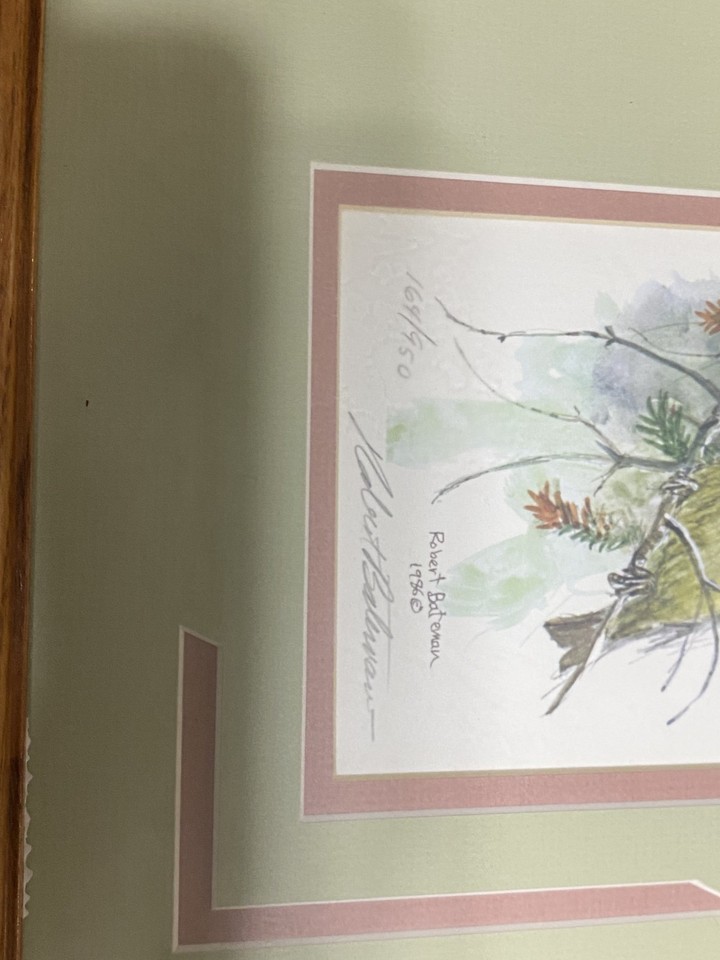 Red Crossbills, Robert Bateman, Limited edition print (1986) - Framed ...