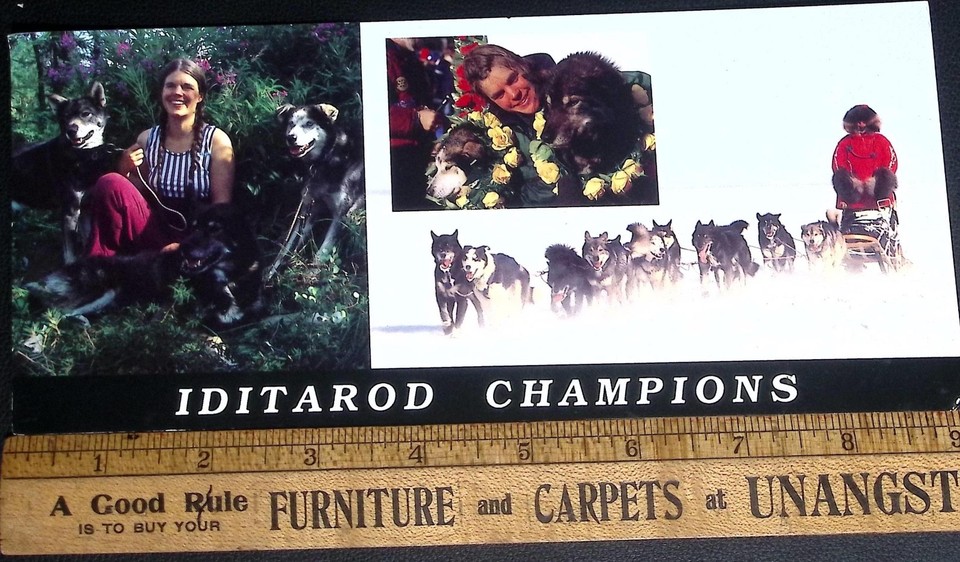 Vintage 1989 Susan Butcher Iditarod Champions Jeff Schultz Dog Sled ...