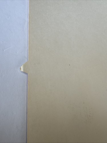 RARE Vintage The Real Ghostbusters Slimer Slime Zone Door/ Wall Decoration 1984 | eBay