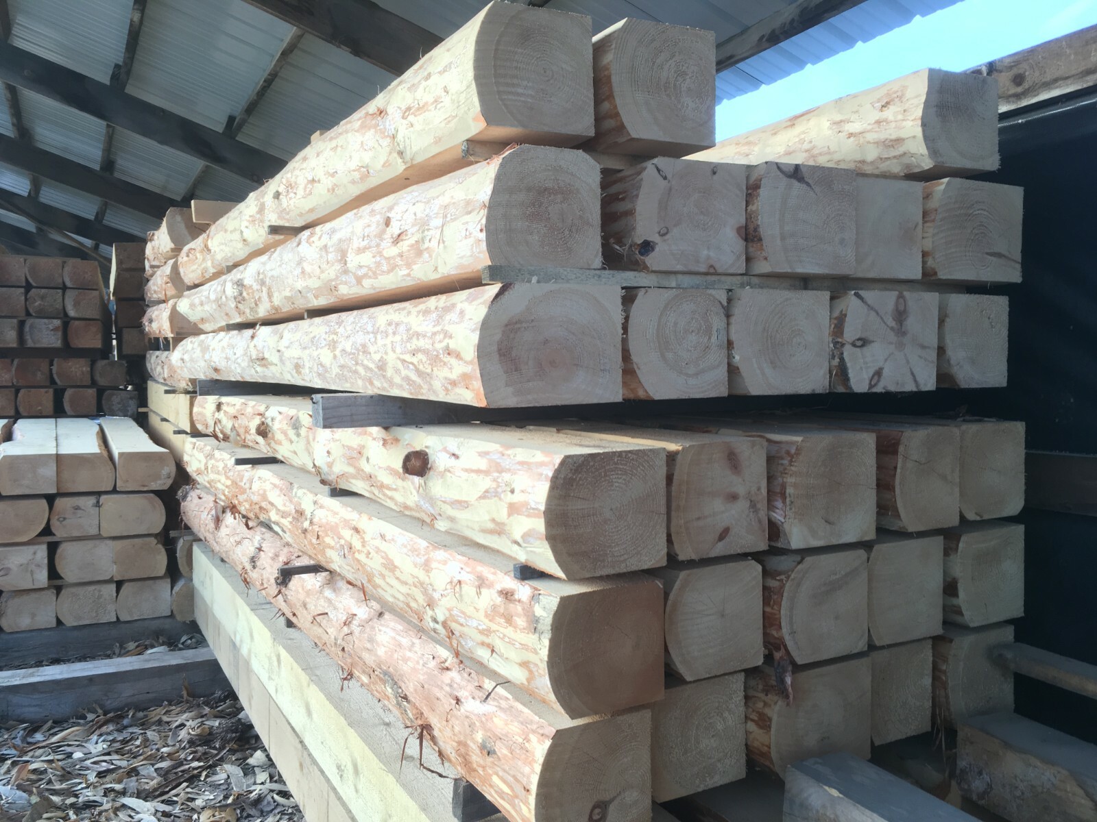 D-Log Cabin Logs Hand Peeled 8" x 10" Kiln-Dried White Pine 1,800 ...