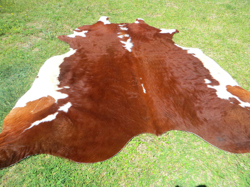GENUINE 6x6 LARGE HEREFORD BROWN Cowhide Rug natural Cowhides Cow Hide ...
