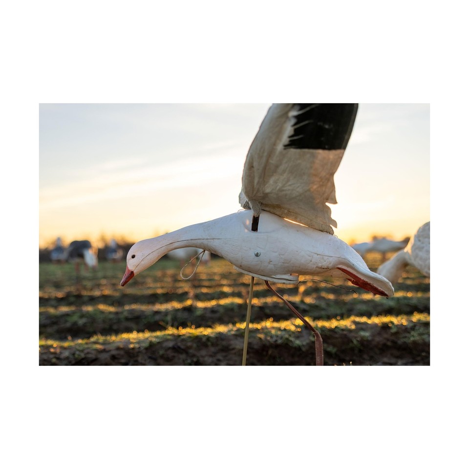 Higdon Outdoors Clone Snow Goose Flapping Motion Decoy with Adjustable ...