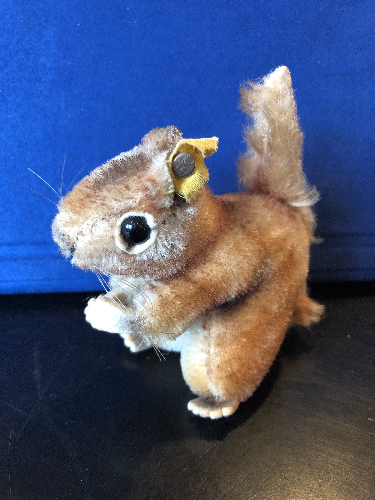 Antique Vintage Steiff Squirrel Perri 5" Good condition stuffed animal ...