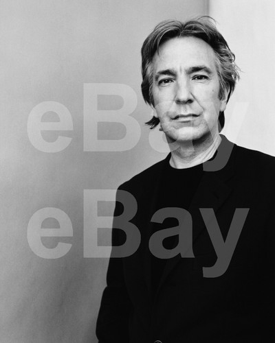 Alan Rickman Photoshoot 10x8 Photo | eBay