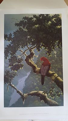 Wildlife Artist Richard Sloan (1935 - 2007) lithograph of "Above The ...
