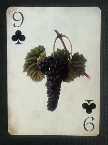 Masterpiece Playing Card Botanical Grapes (B) 9 Clubs | eBay