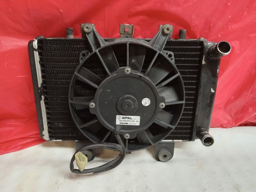 1995 TRIUMPH THUNDERBIRD OEM ENGINE COOLER COOLING RADIATOR RADIATER | eBay