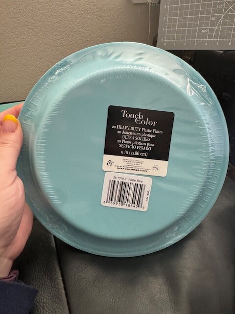 Creative Converting Touch of Color 20ct. Plastic 9" Dinner Plates ...