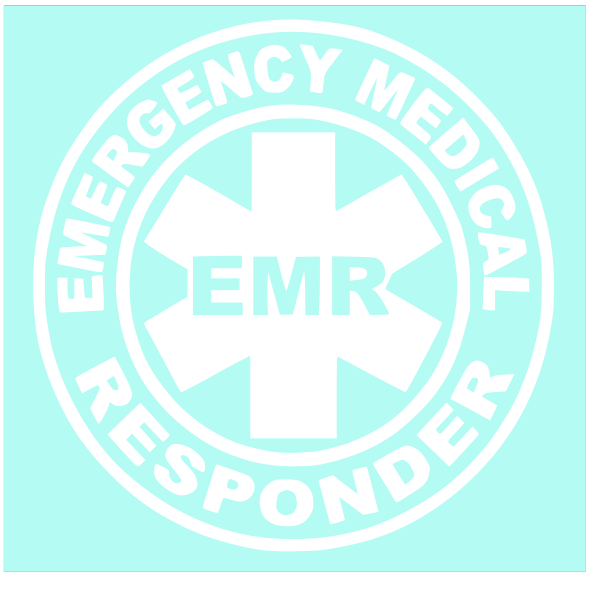 EMR LOGO ~ DECAL / STICKER ~ CAN BE CUSTOMIZED ~ 2 SIZES AVAILABLE | eBay