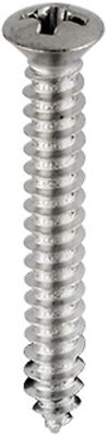 AMZ Clips And Fasteners 100 #8x1-1/4" Phillip Oval #6 Head Tapping ...