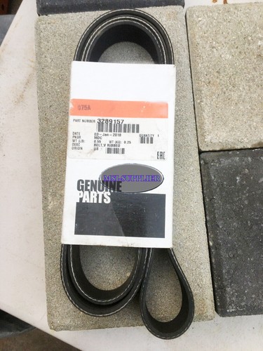 BELT,V RIBBED 3289157 For Cummins | eBay