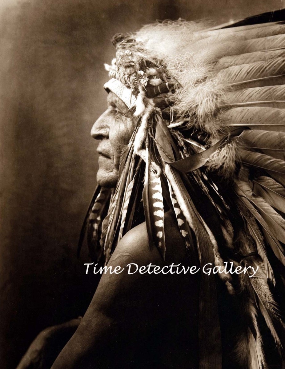 Native American Profile