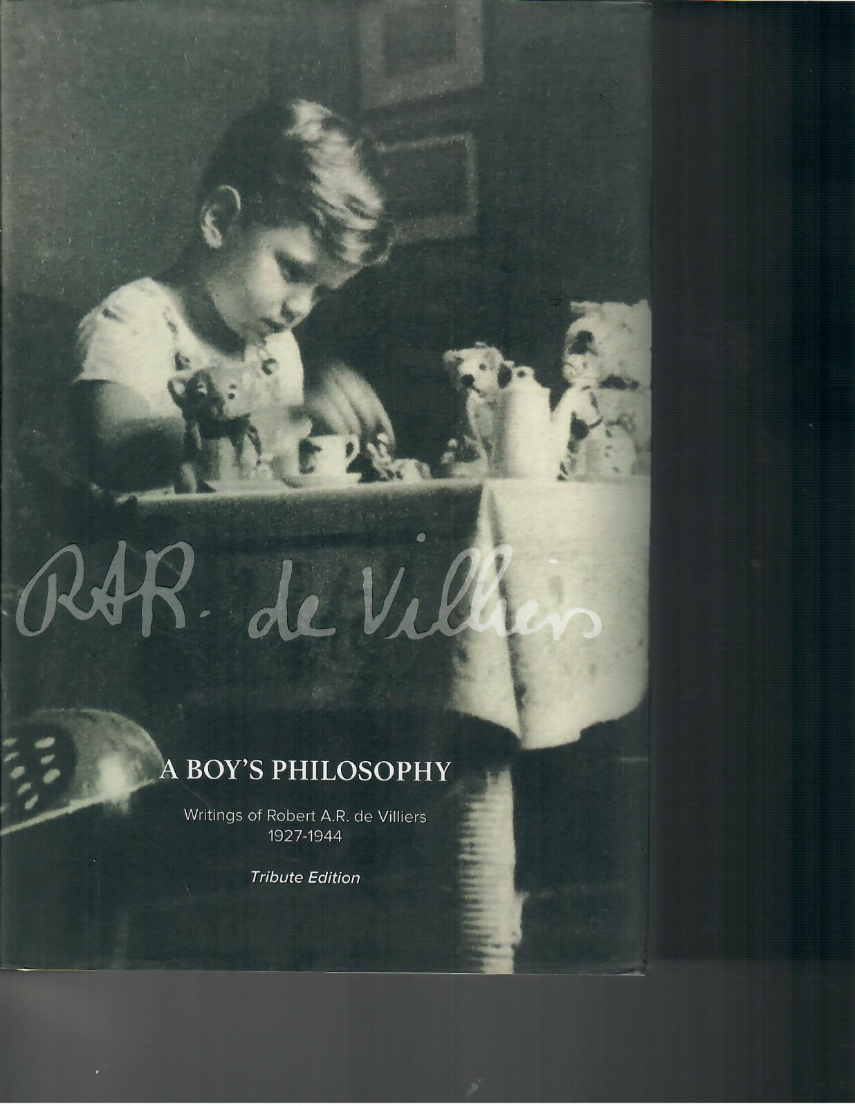 A Boy’s Philosophy: Writings of Robert A.R. de Villiers Leukemia ...